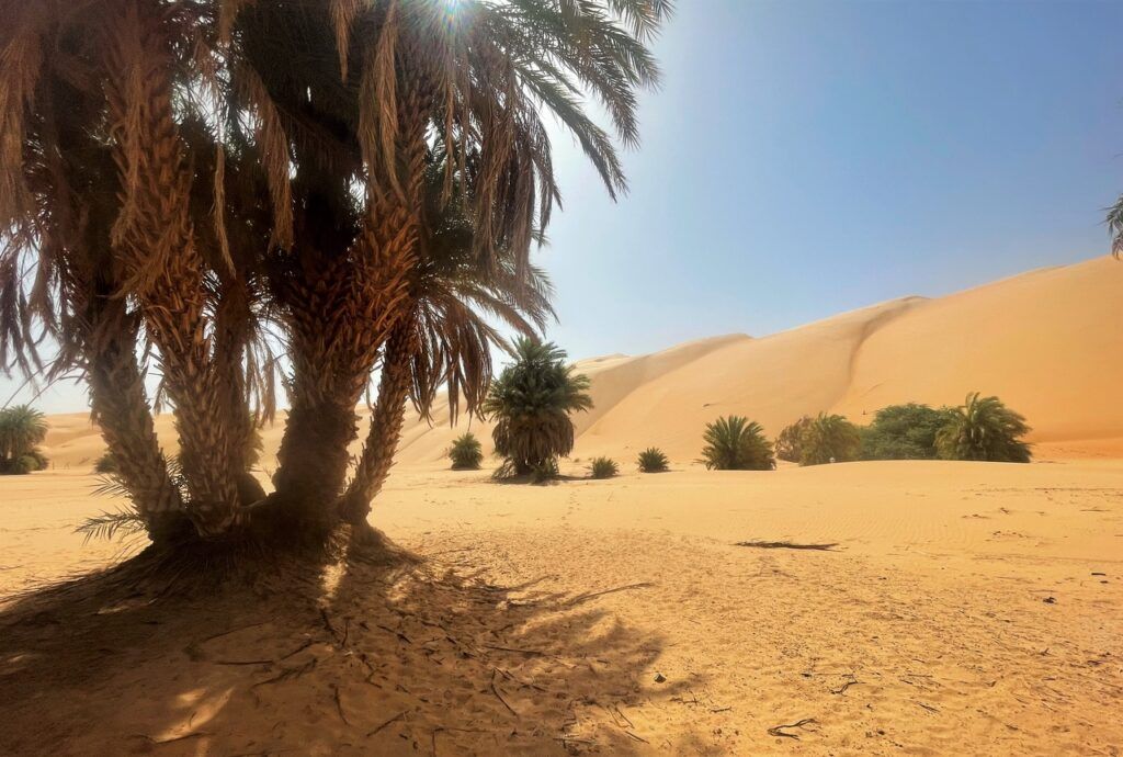 Azougui - Chingi Tours