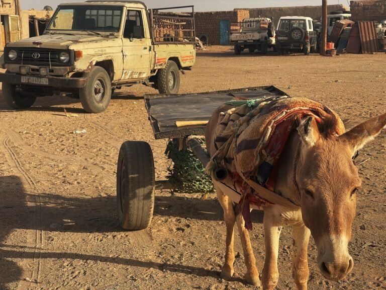 Choum - the start of an adventure